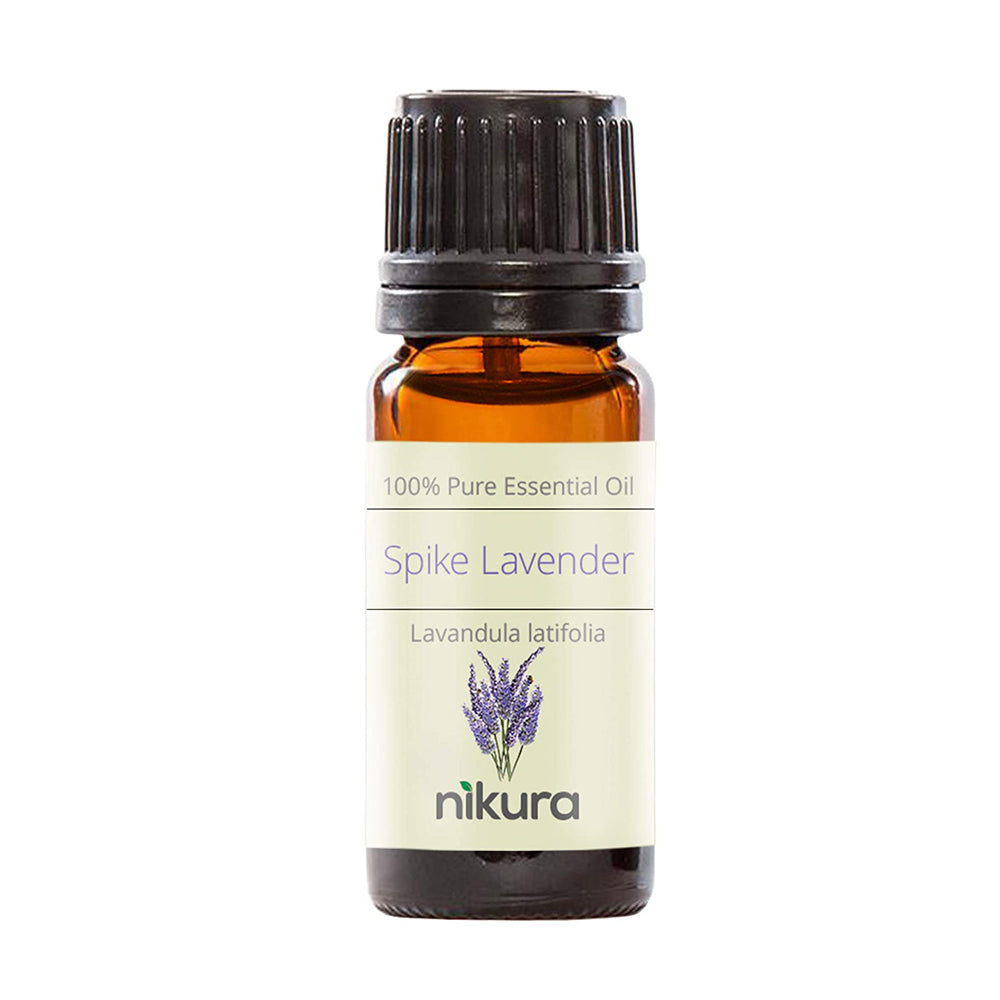 Spike Lavender Essential Oil 10ml